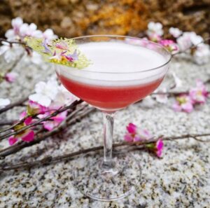 Zuma London; A Sophisticated Touch to Traditional Japanese Cuisine.