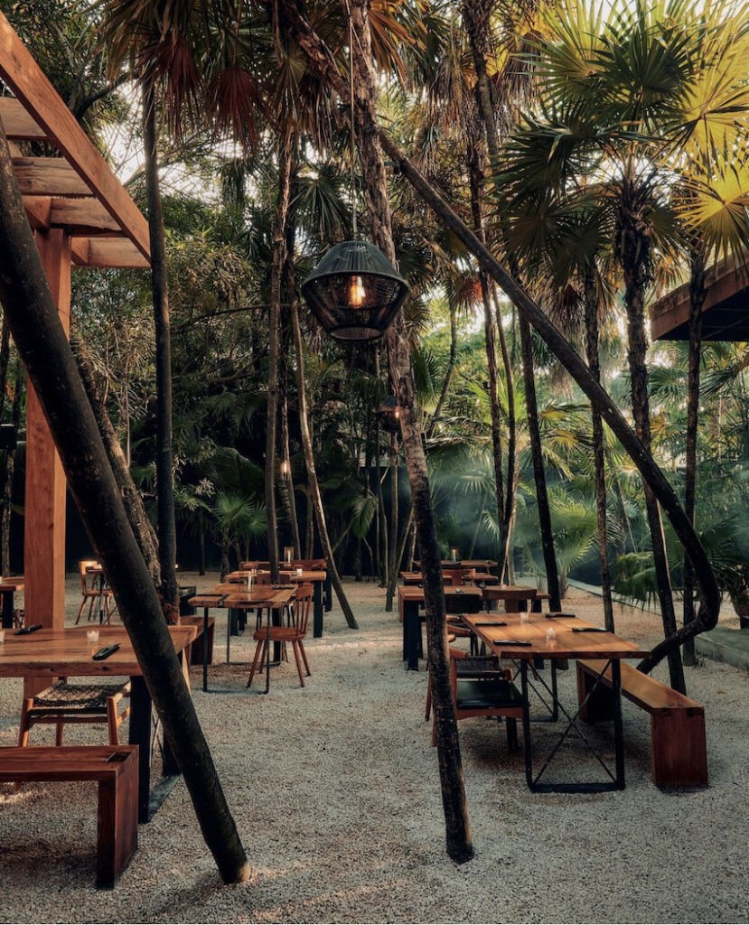 Best restaurants in Tulum | Tulum Guide