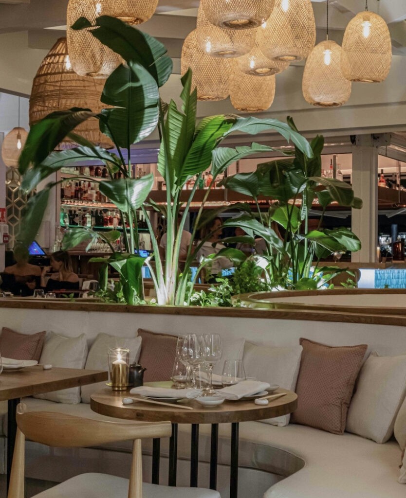 Best restaurants in Saint Barth | Saint Barth Guide